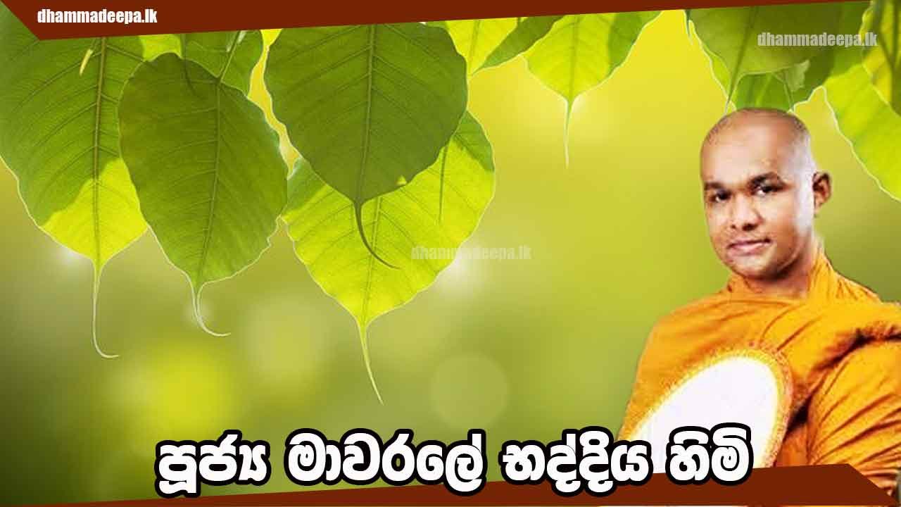 Ven Mawarale Bhaddiya Thero පූජ්‍ය මාවරලේ භද්දිය හිමි