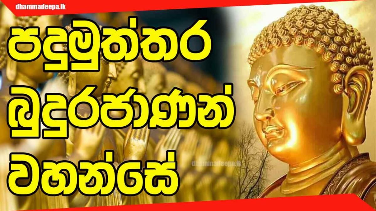 පදුමුත්තර බුදුරජාණන් වහන්සේ – Dhamma Deepa